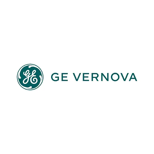GE Vernova T&D India Ltd - Fortune India GE Vernova T&D India Ltd - Fortune India